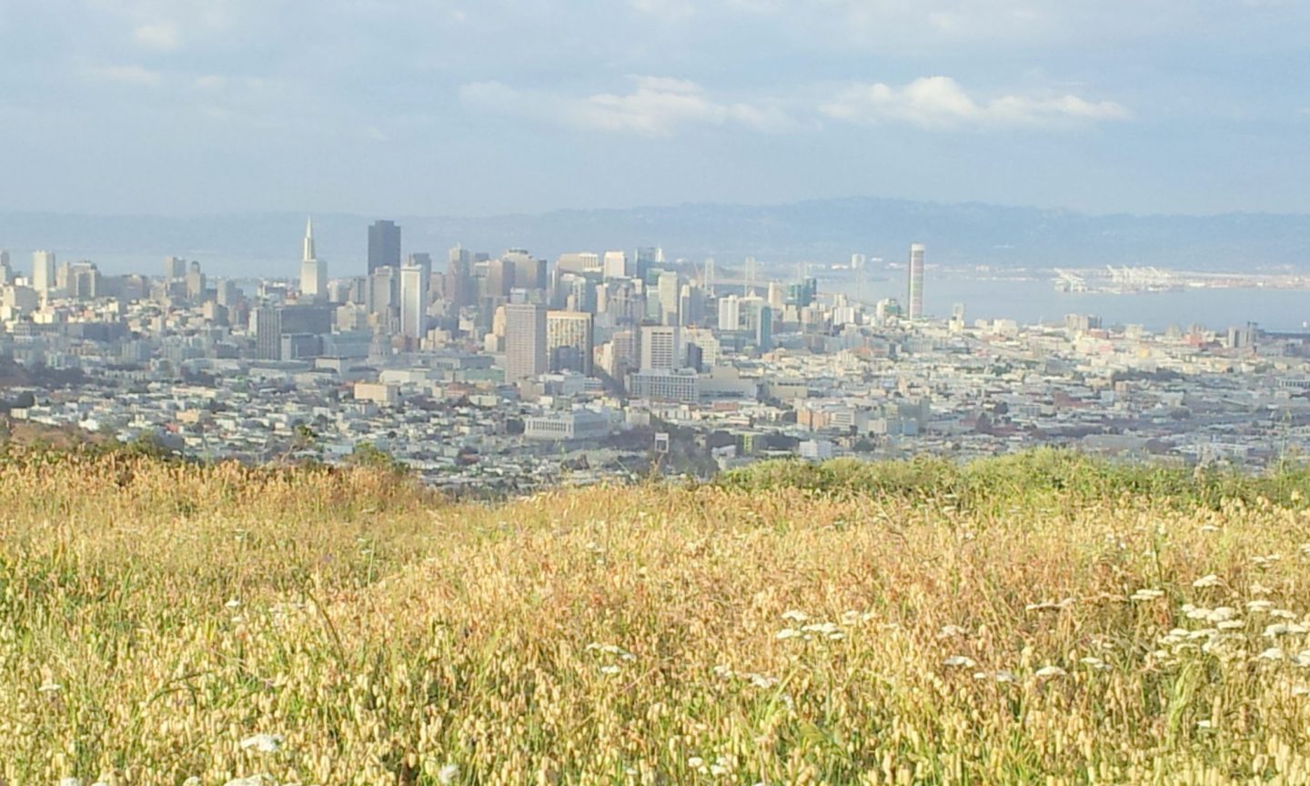 The Well of Grief, a poem by David Whyte – Elizabeth Ü